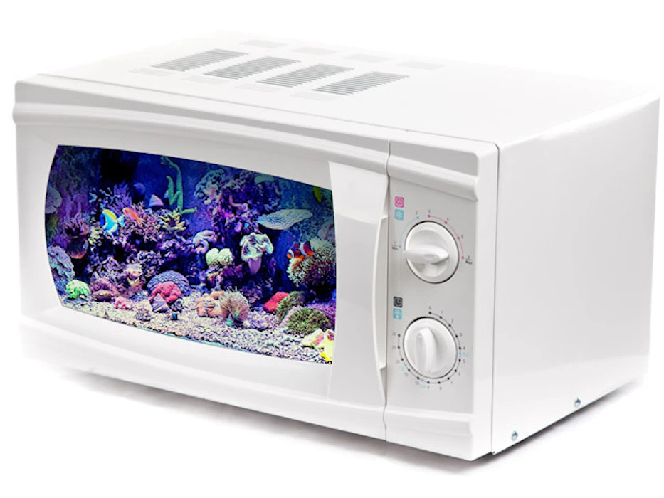 Microwave fish for Parties and Large Groups — Wabanaki Two-Spirit Alliance